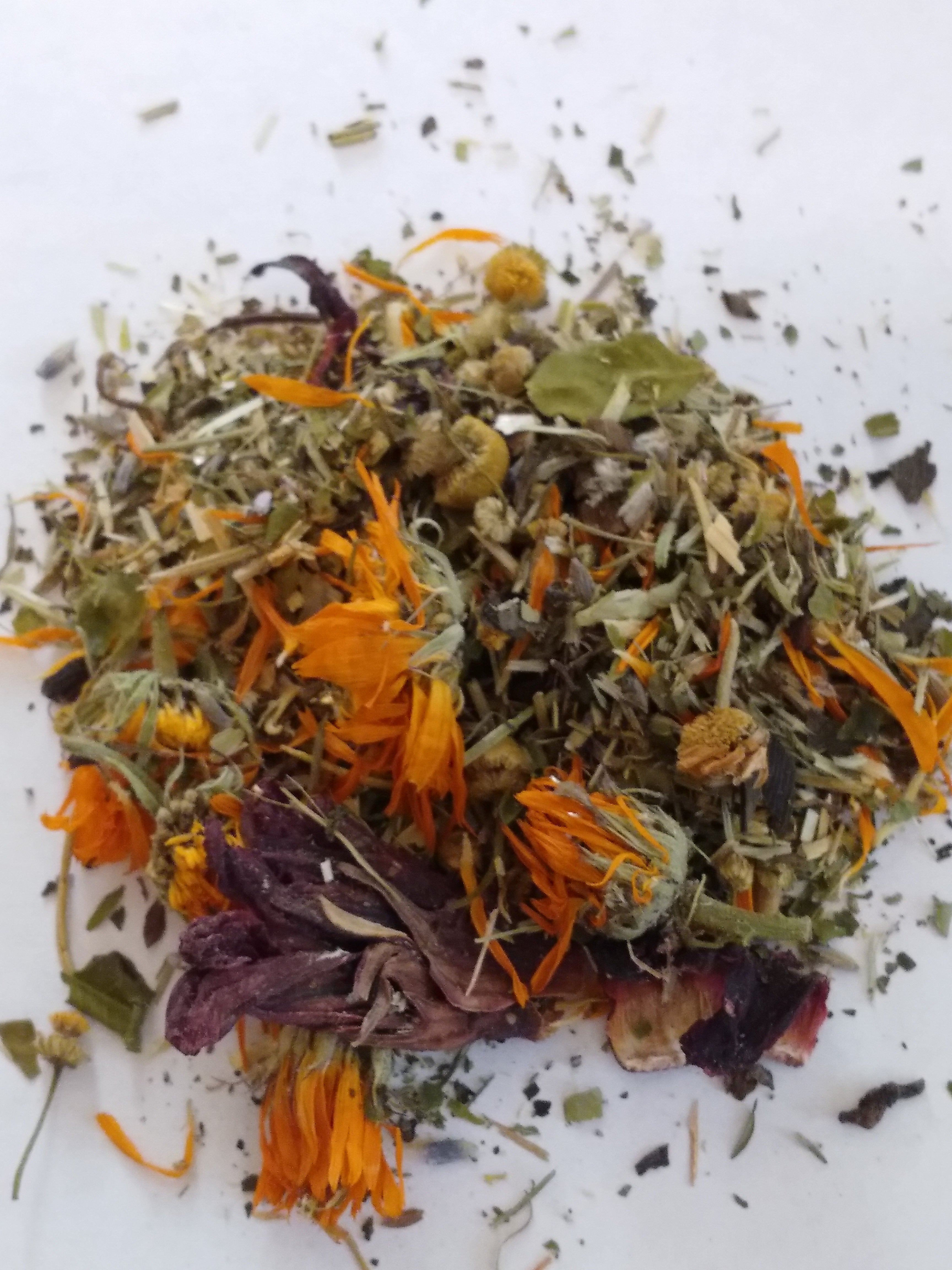 SPROUTING ROOTS – Yew 360 Wholistic Health & Wellness